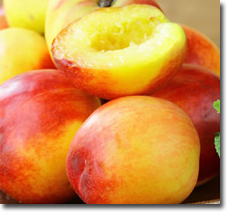 Perzik Prunus persica Nectared - Fruitbomenkopen.be